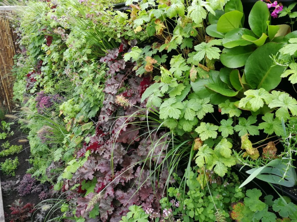 KUUK - Samenwerken aan een mooiere wereld